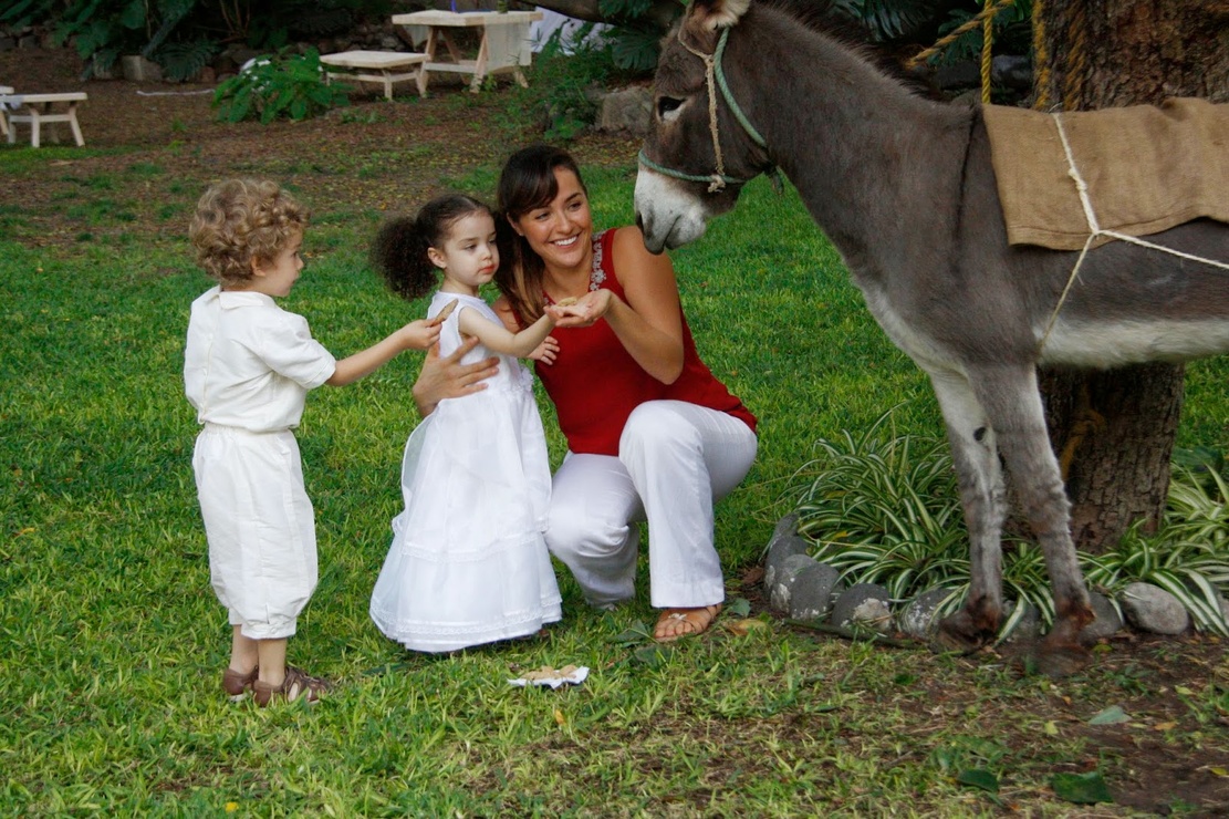 Picture of Corazón indomable