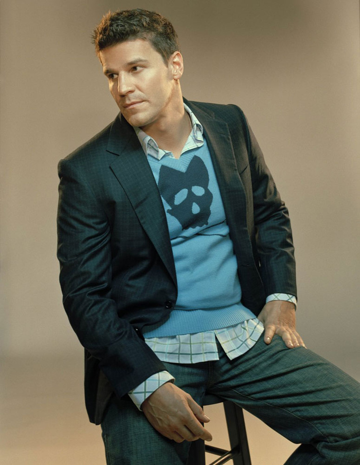 Image of David Boreanaz