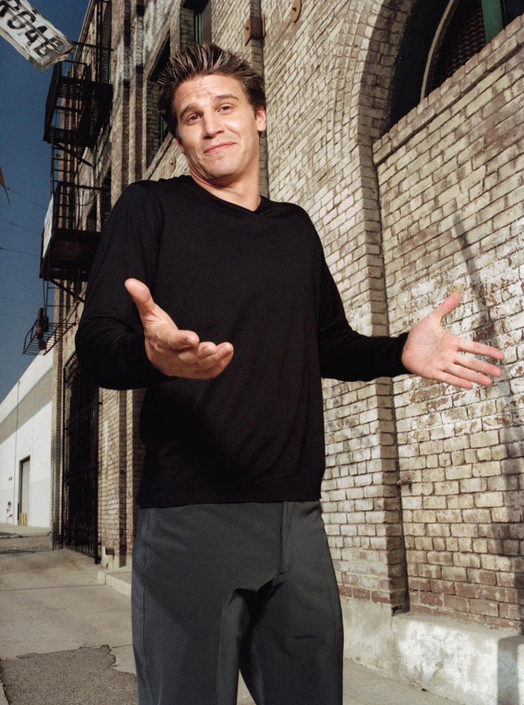 Picture of David Boreanaz