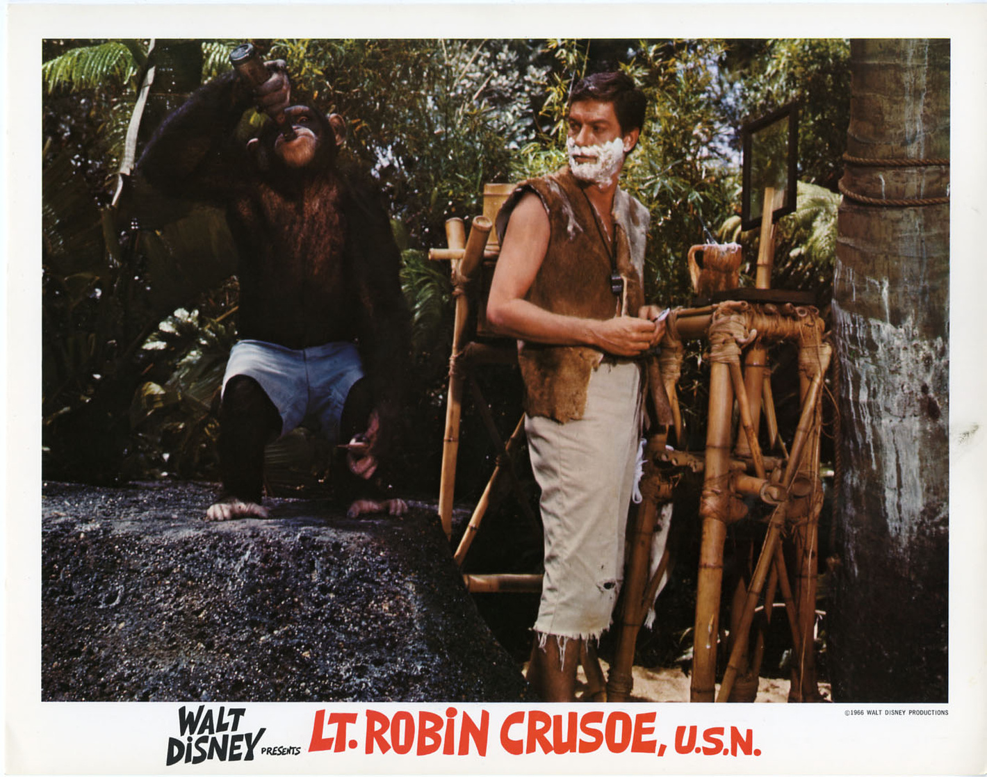 Picture of Lt. Robin Crusoe, U.S.N. (1966)