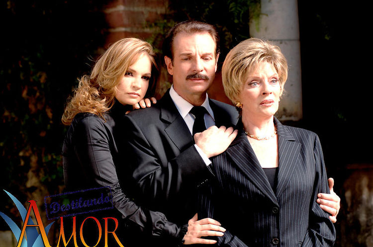 Picture of Destilando amor