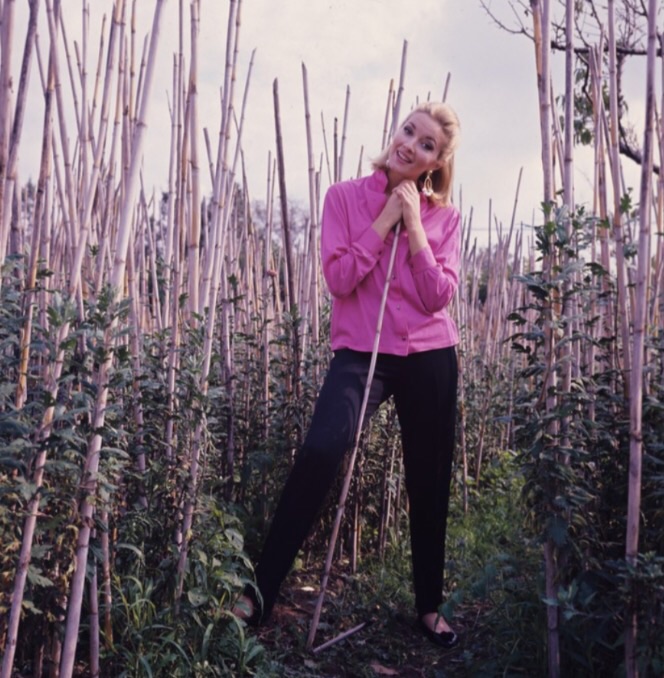 Image of Daniela Bianchi