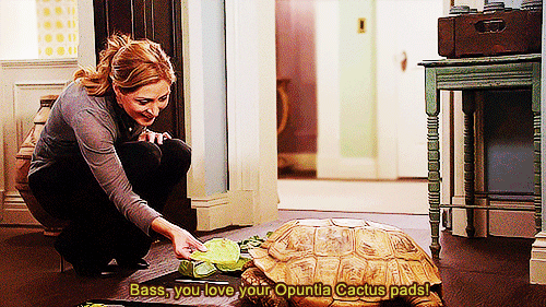 Dr Isles and her pet tortoise Bass