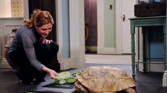 Dr Isles and her pet tortoise Bass