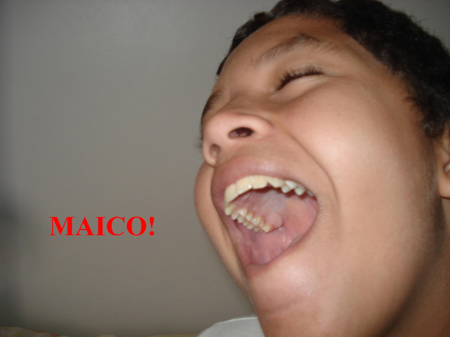 Picture of MAICO!