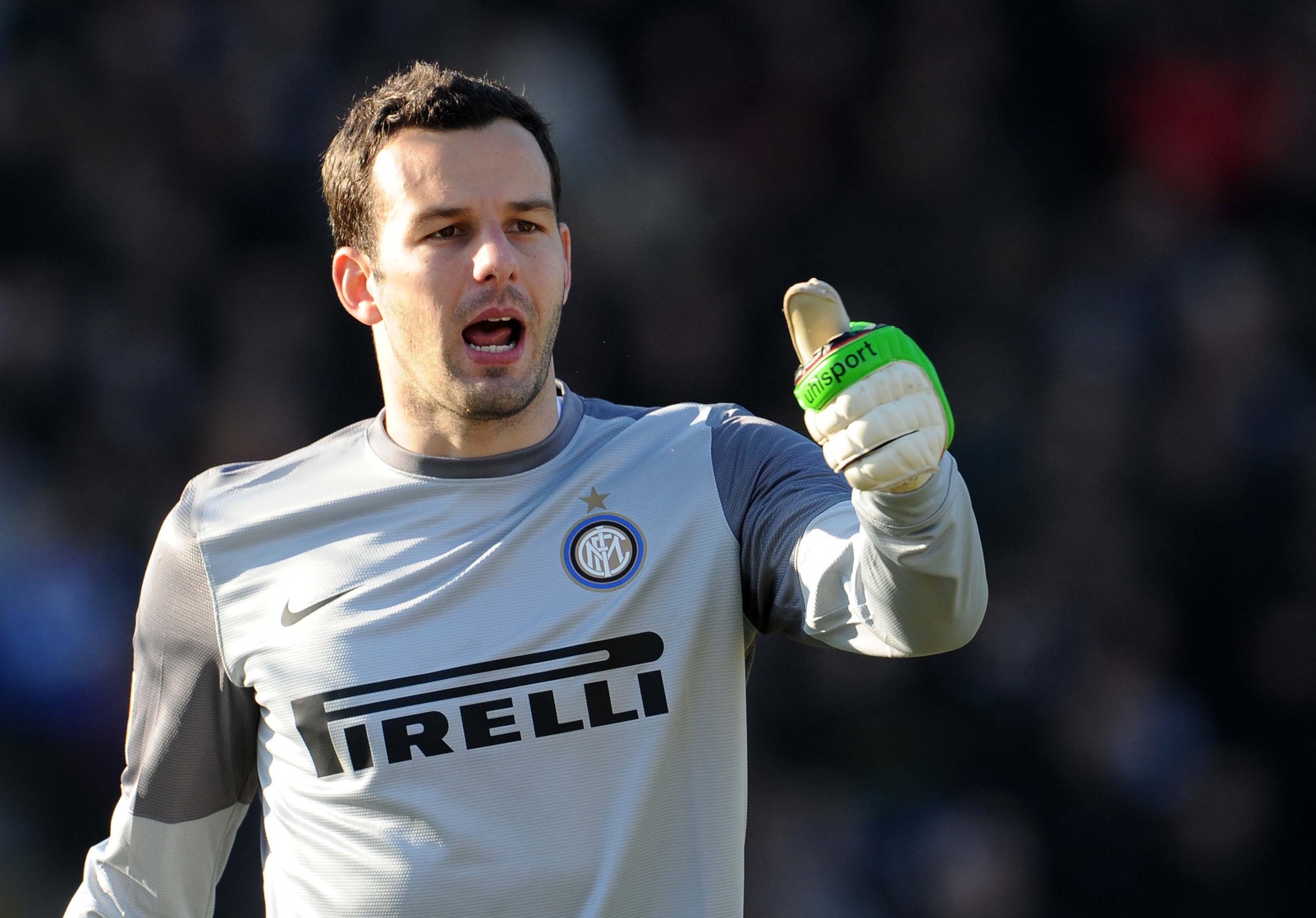 Samir Handanovic picture