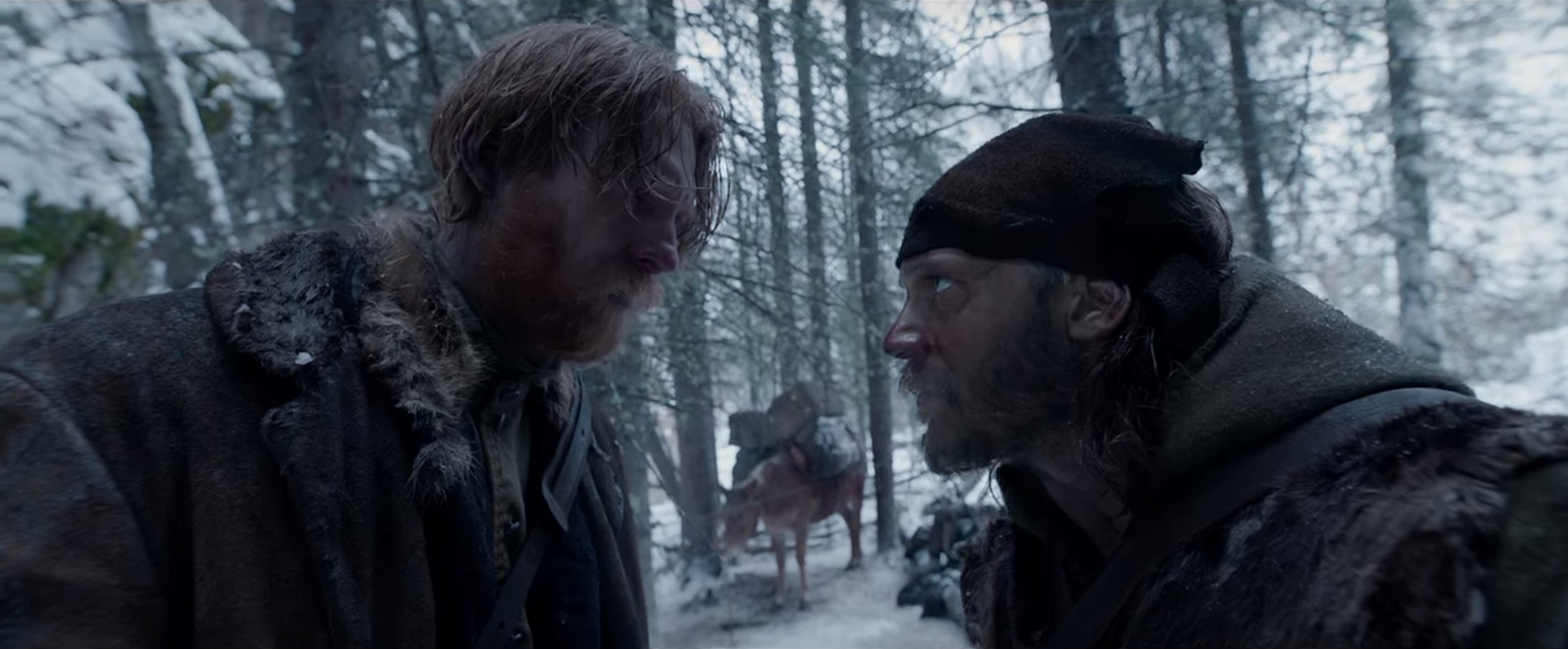 Picture of The Revenant