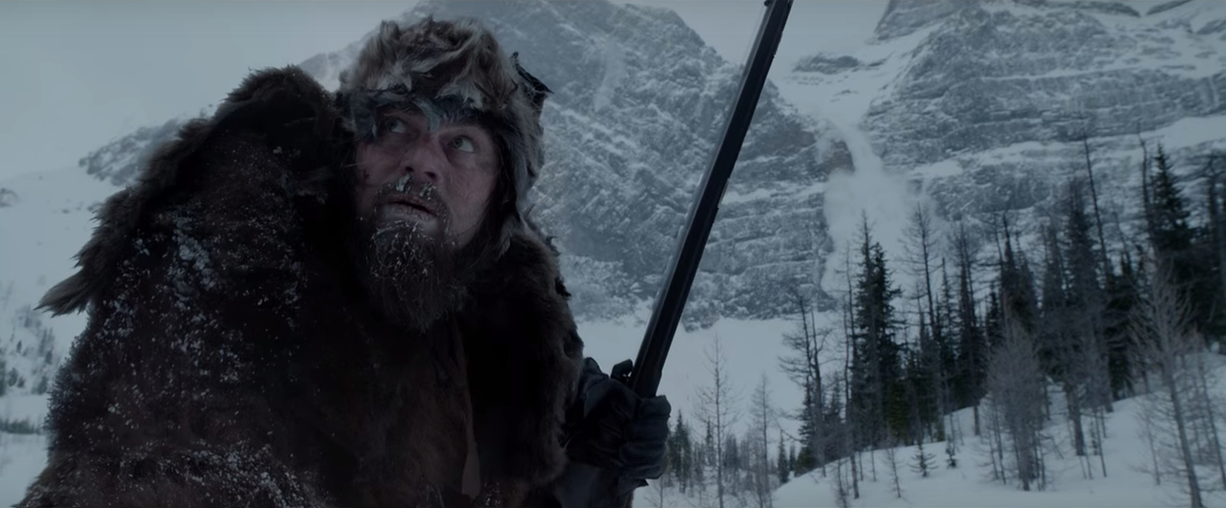 Picture of The Revenant