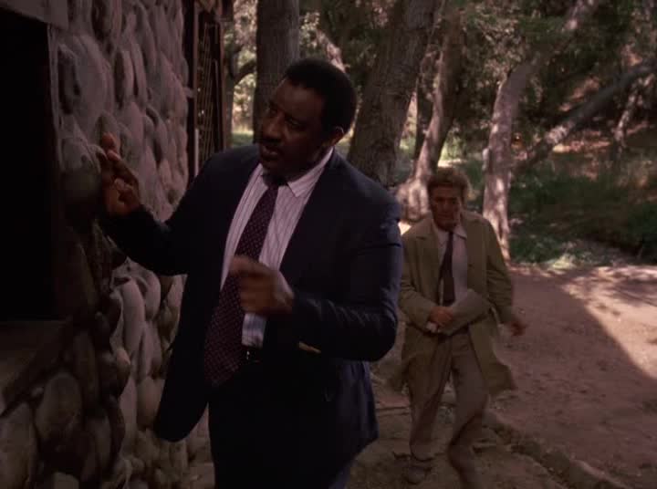 Columbo: A Bird in the Hand... image