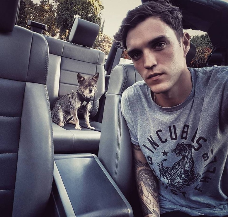 Josh Beech image