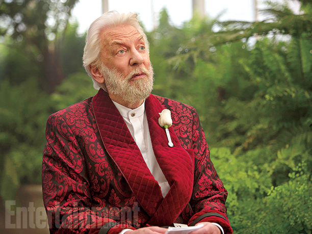 Image of The Hunger Games: Mockingjay - Part 2