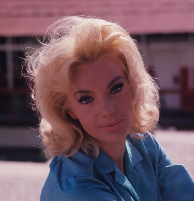 Picture of Maria Perschy