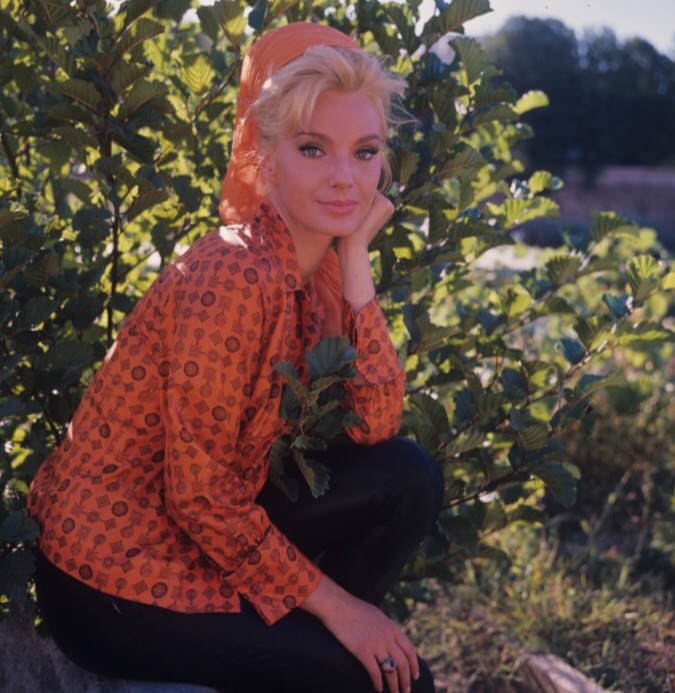 Maria Perschy picture