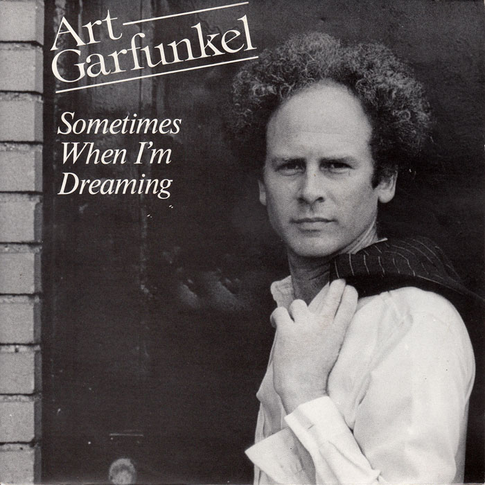 Picture of Art Garfunkel