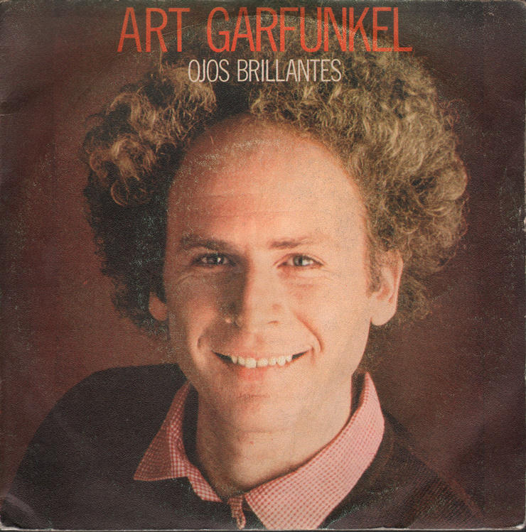 Picture of Art Garfunkel