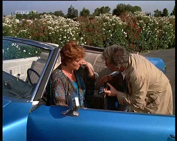 Picture of Columbo: A Bird in the Hand...