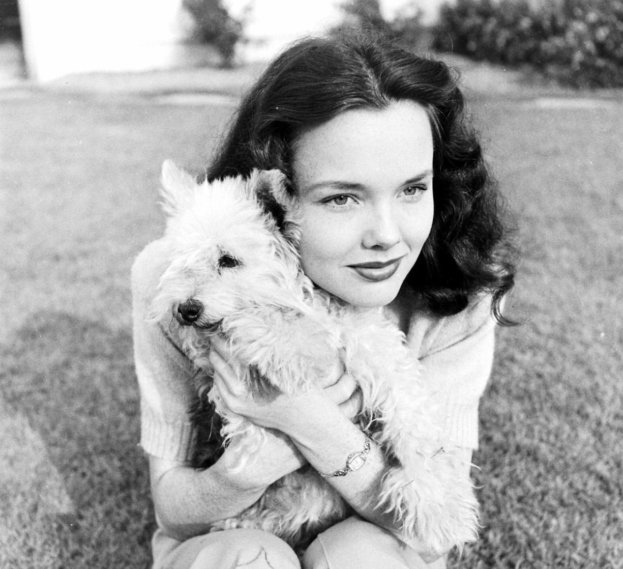Wanda Hendrix picture