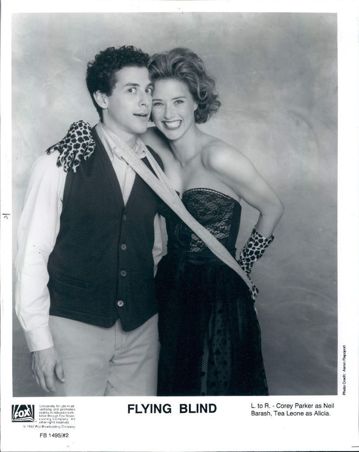 Image of Flying Blind (1992-1993)