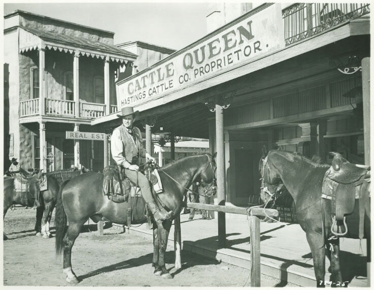 Picture of Cattle Town