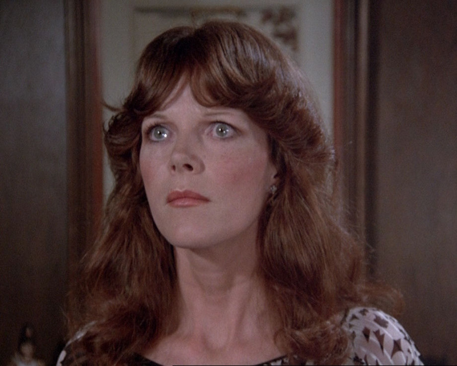 Columbo: The Bye-Bye Sky High I.Q. Murder Case picture