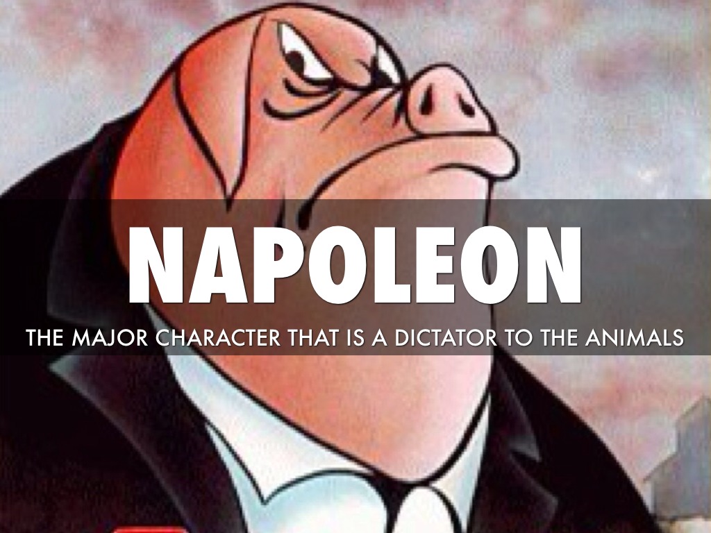 Picture of Napoleon (Animal Farm)
