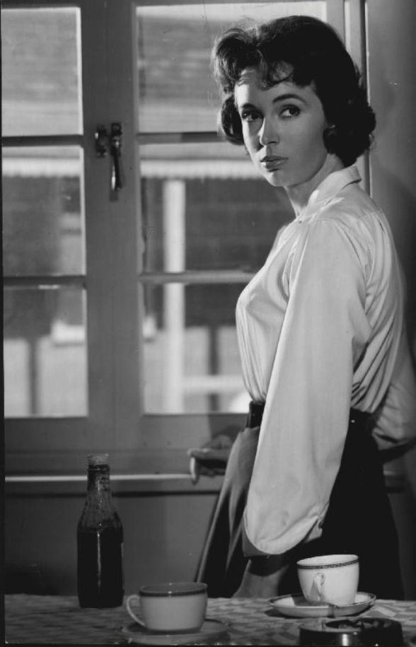 Picture of Marla Landi