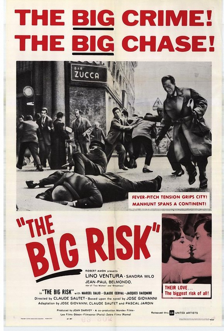 Picture of The Big Risk