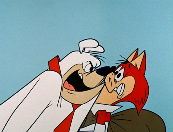 Picture of Fibber Fox