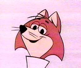 Picture of Fibber Fox