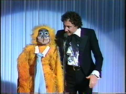 Picture of Cuddles the Monkey