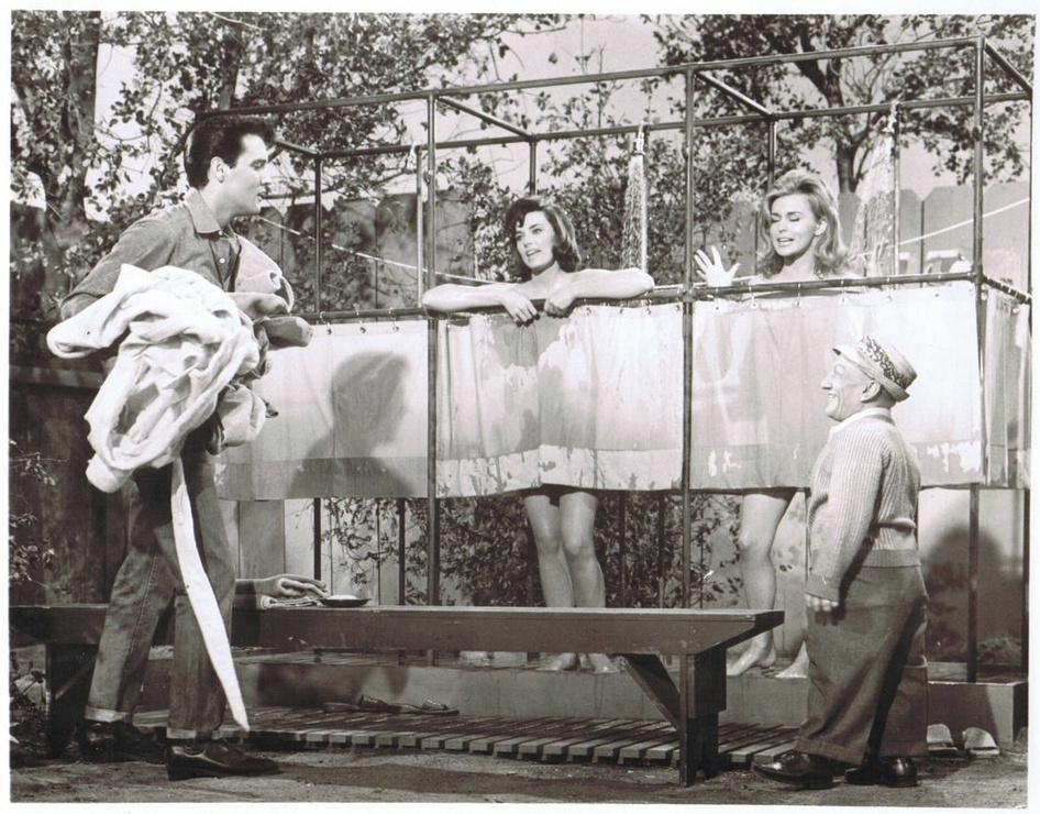 Picture of Roustabout