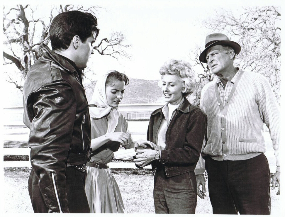 Picture of Roustabout