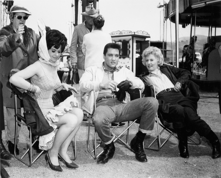 Picture of Roustabout