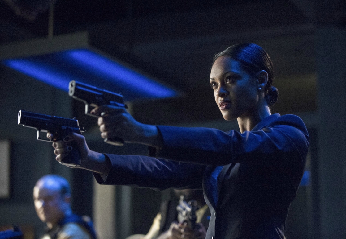 Image of Amanda Waller (Arrow)