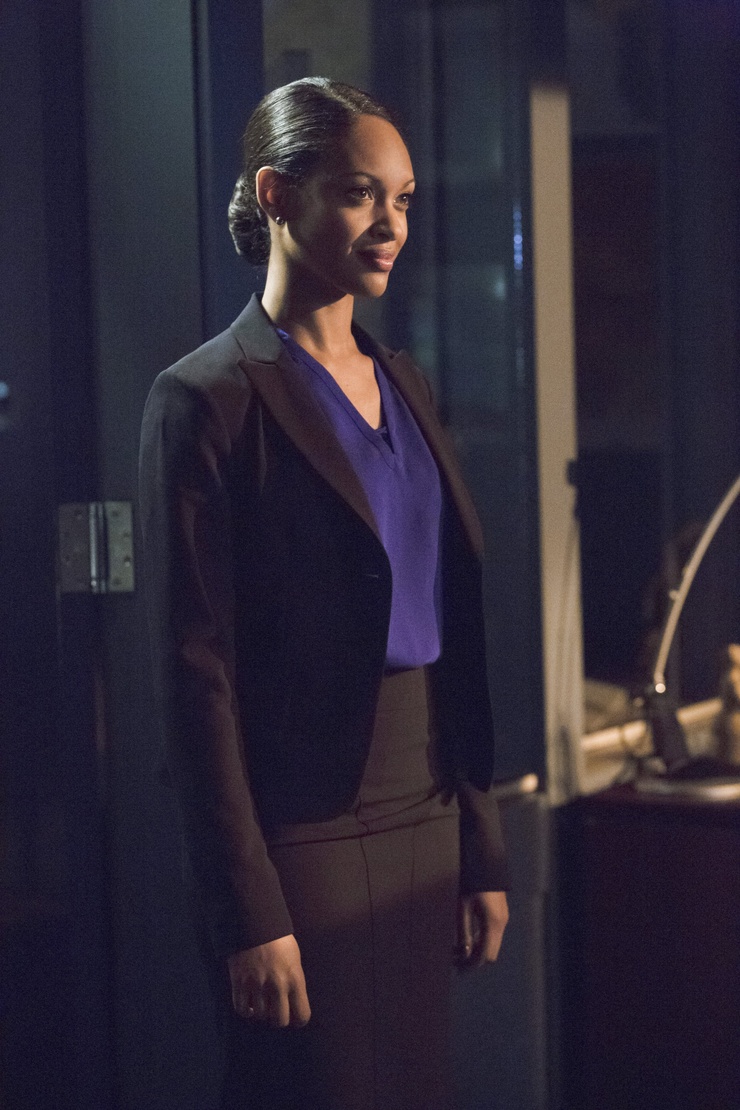 Picture of Amanda Waller (Arrow)