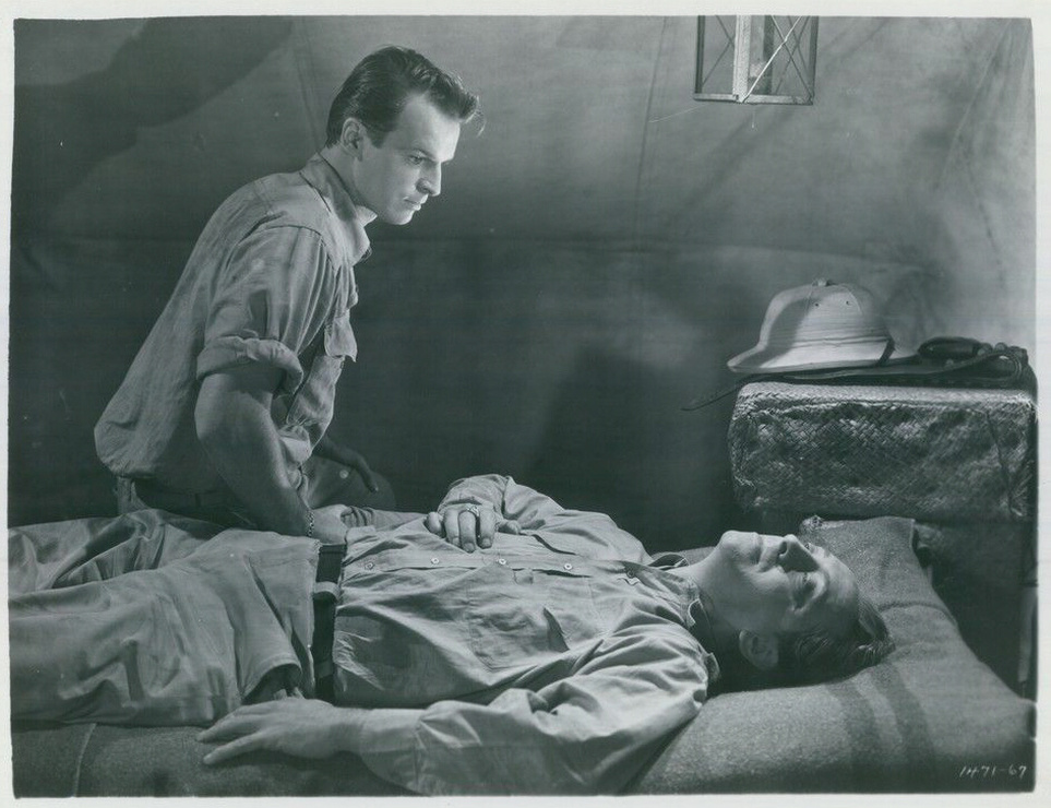 Picture of The Vampire's Ghost