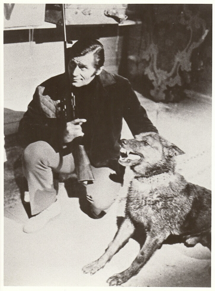 Picture of Scream of the Wolf