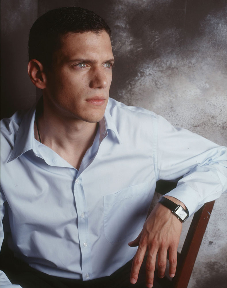Picture of Wentworth Miller