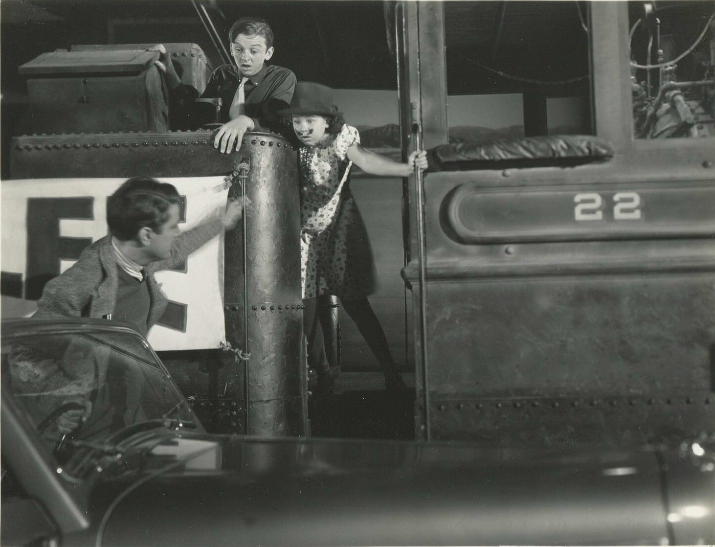 Picture of Wild and Woolly