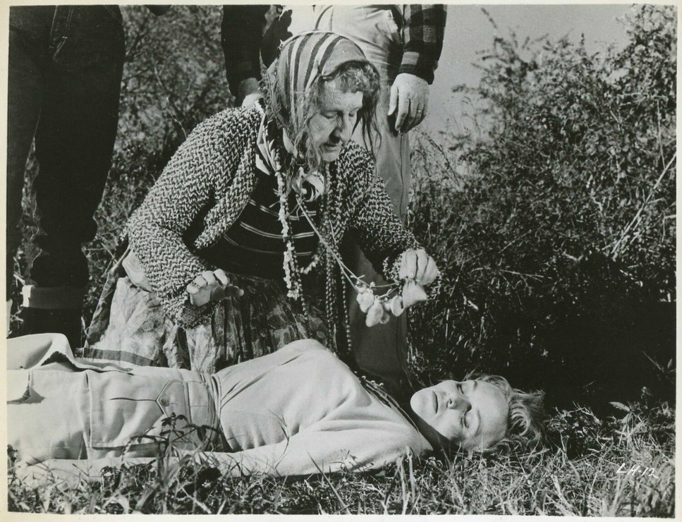 Picture of Nan Peterson