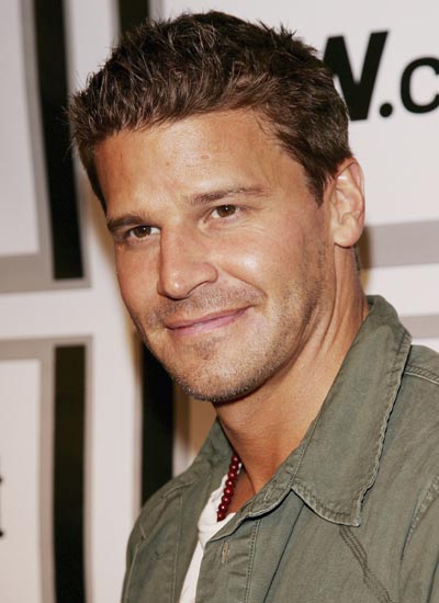 David Boreanaz picture