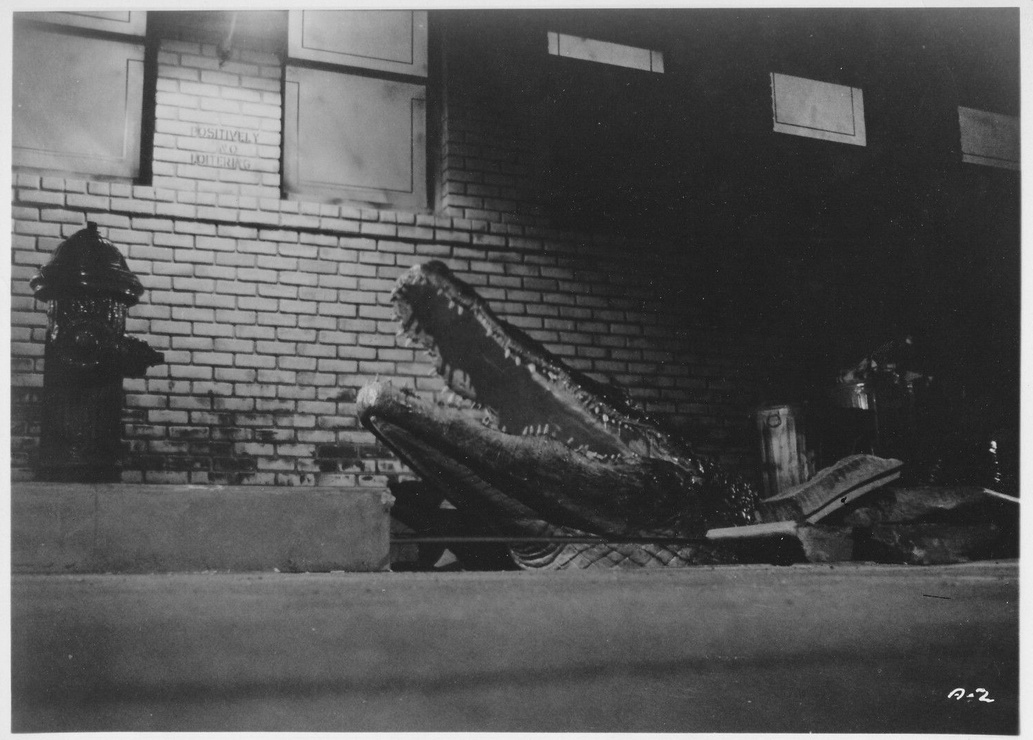 Picture of Alligator (1980)