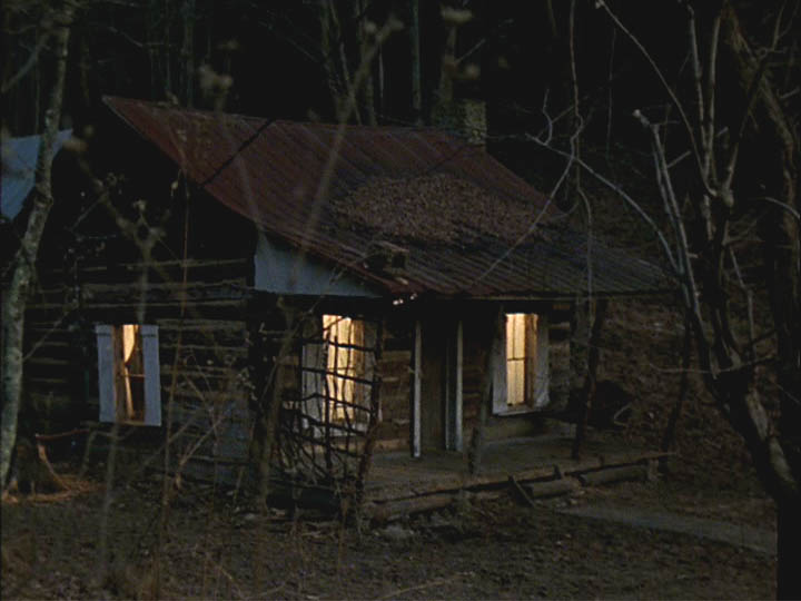 Picture of The Evil Dead (1981)