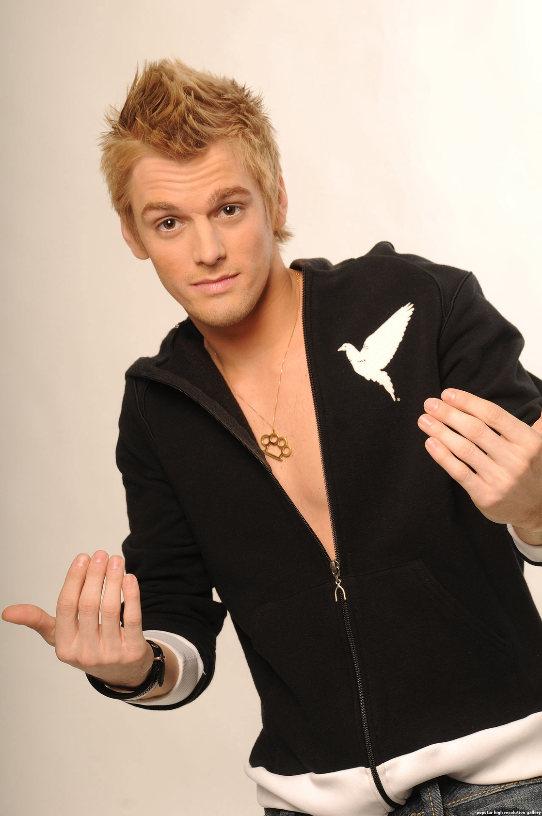 Aaron Carter image