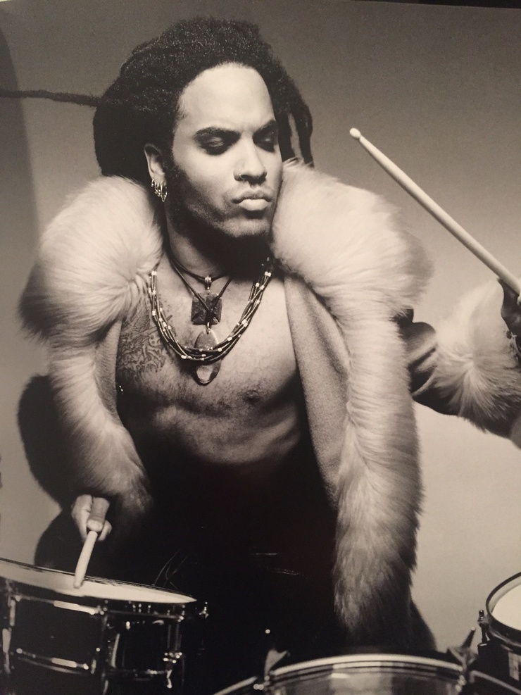 Picture of Lenny Kravitz