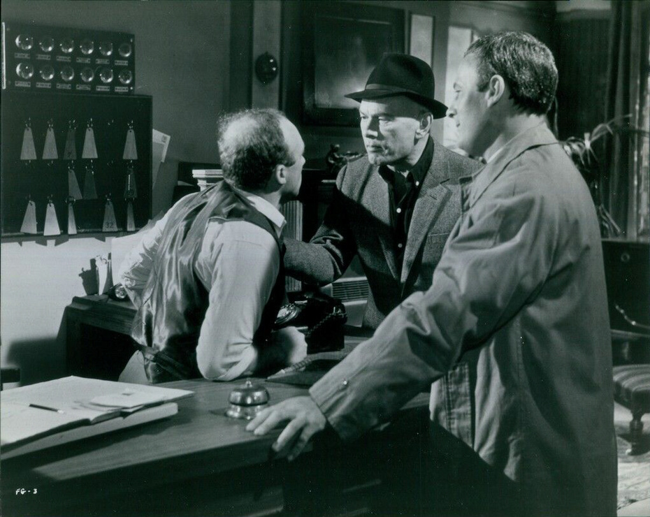 Picture of The File of the Golden Goose