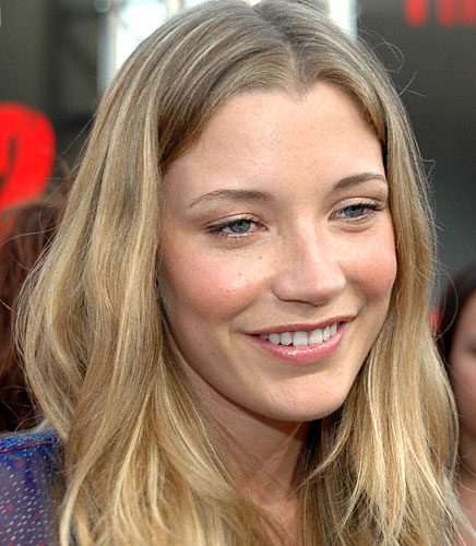 Sarah Roemer picture