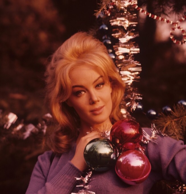 Picture of Edy Vessel