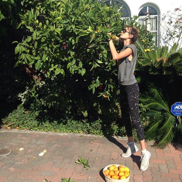 Image of Rachel Alexander