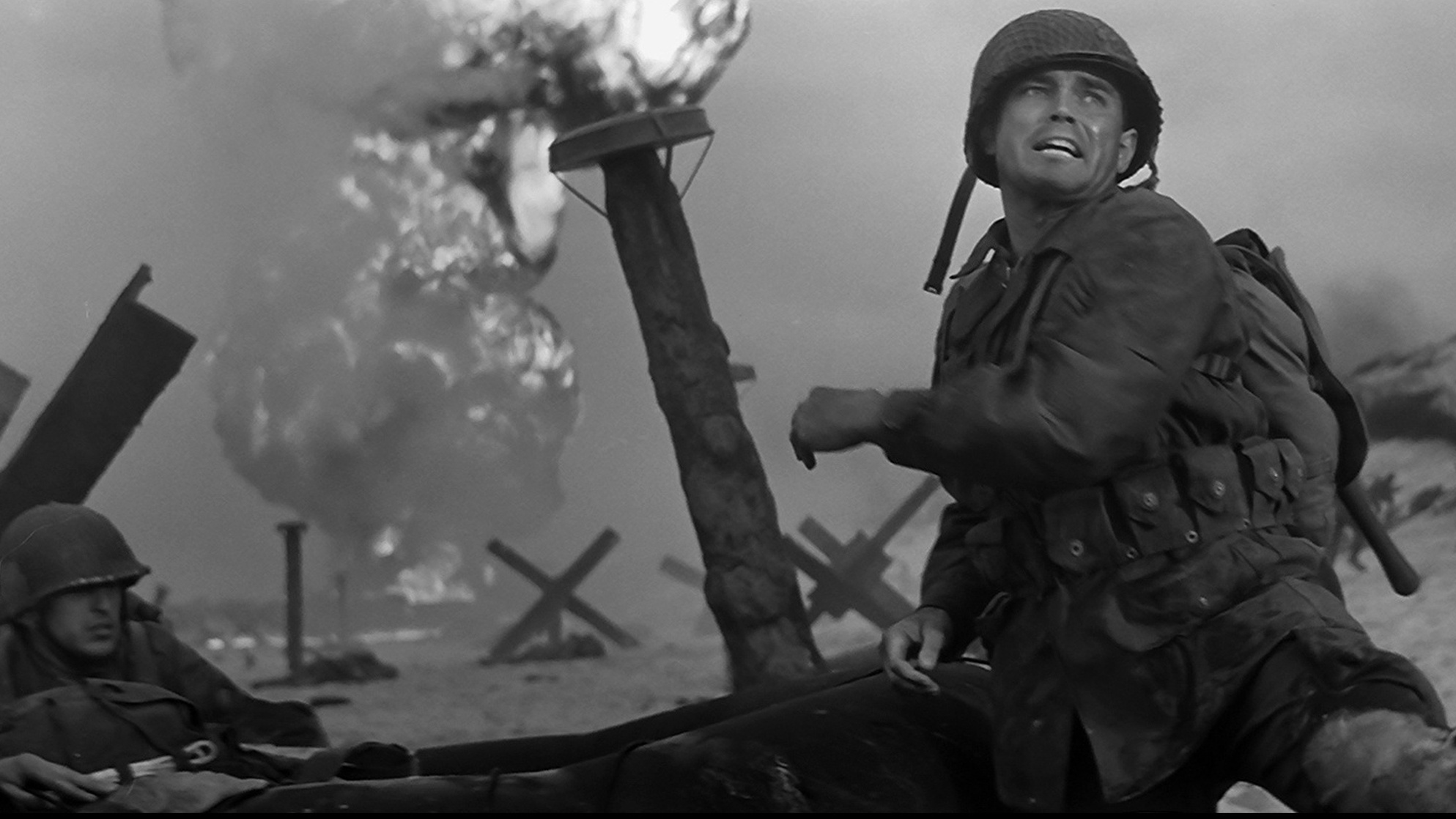 Picture of The Longest Day